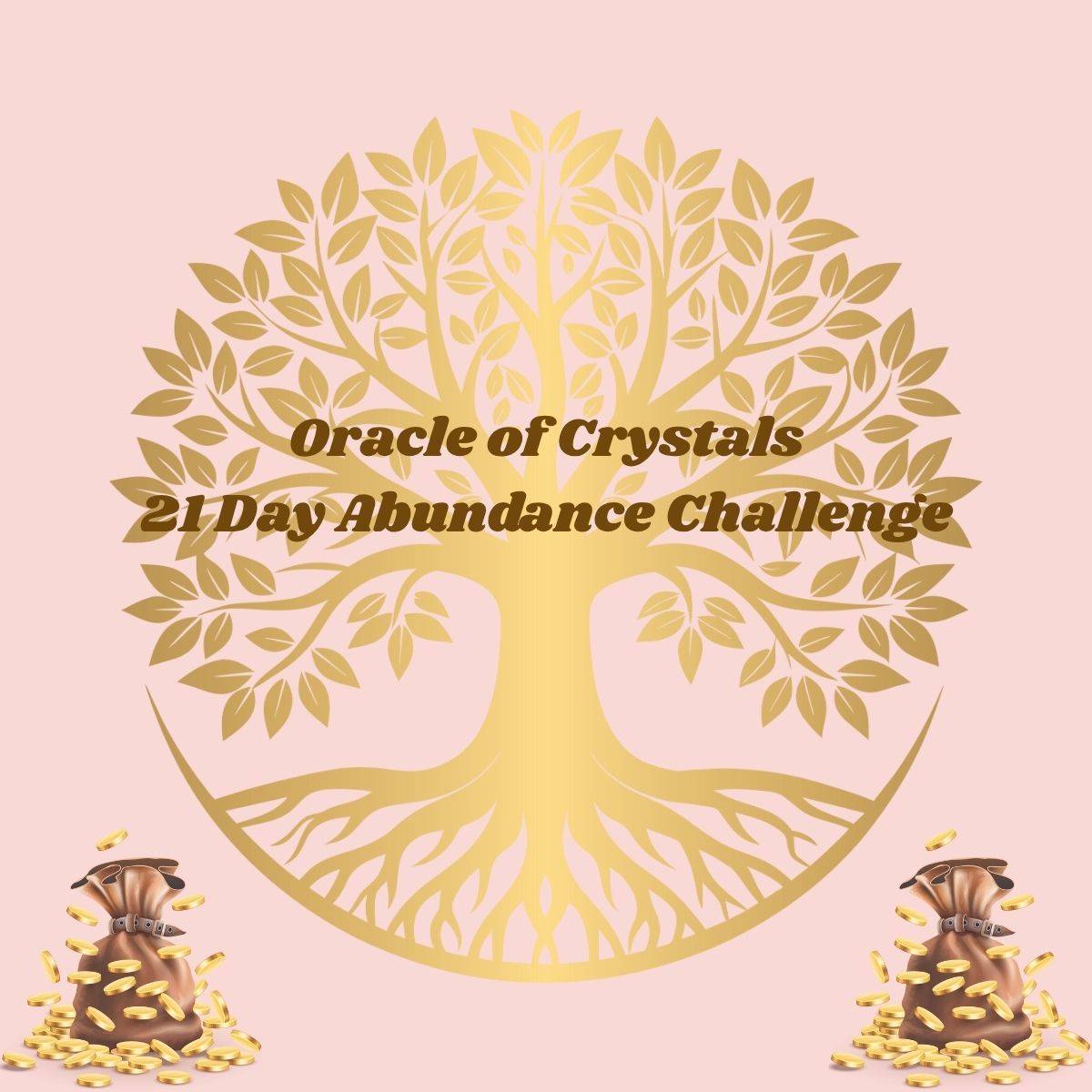 The Abundance Challenge: 21 Days to Raise Your Vibration
